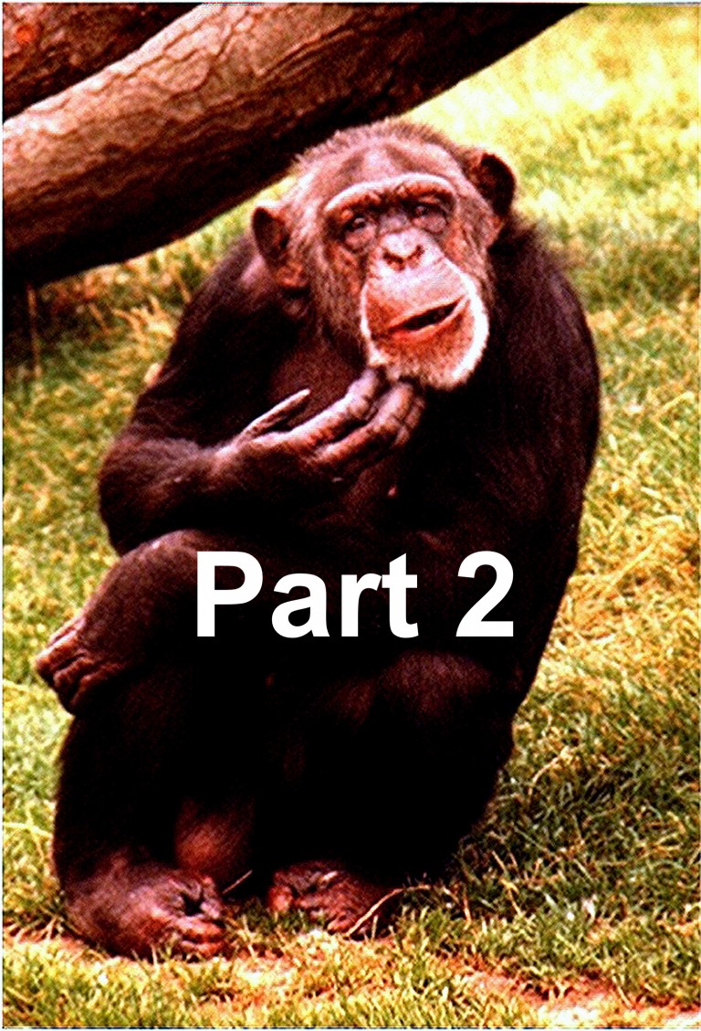 5 Cases: How to Write Infrequent Phrases - Part 2 - Zoe M. McCarthy